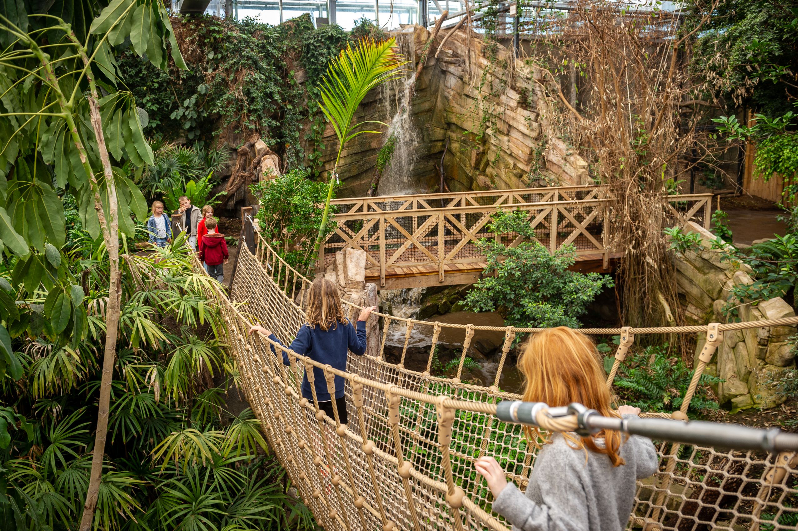 ZOO Gids (vrijwilliger) voor ZOO Planckendael van KMDA
